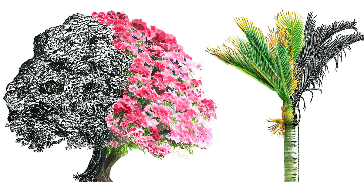 Maggie Lam - Live Wires Ltd - Cards, Gifts & Stationery