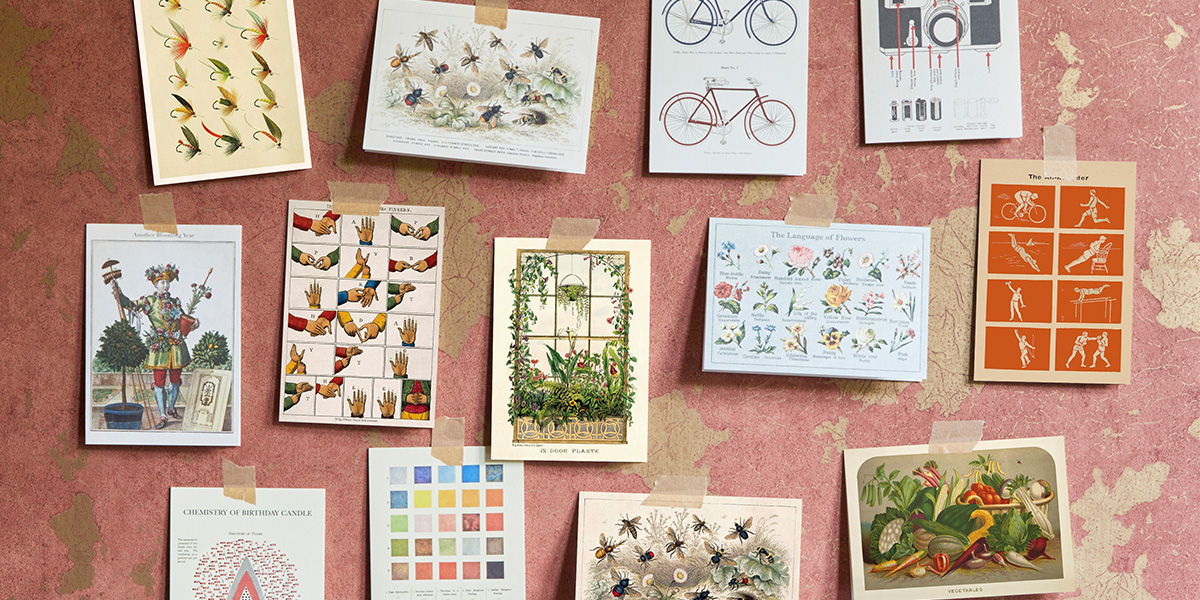 The Pattern Book - Live Wires Ltd - Cards, Gifts & Stationery