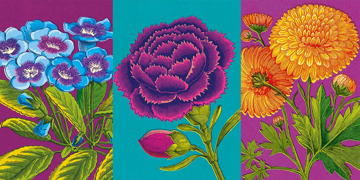 Art Press - Live Wires Ltd - Cards, Gifts & Stationery