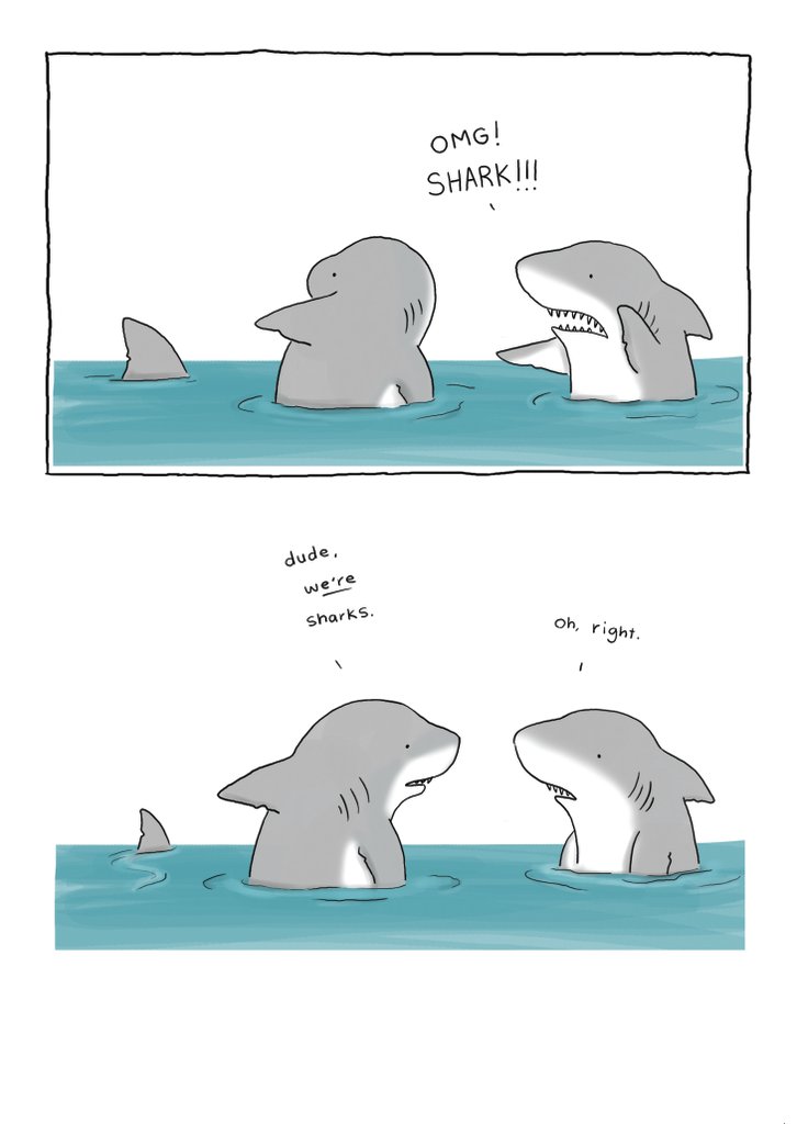 Redback Cards - Live Wires New Zealand Ltd - Cards, Gifts & Stationery