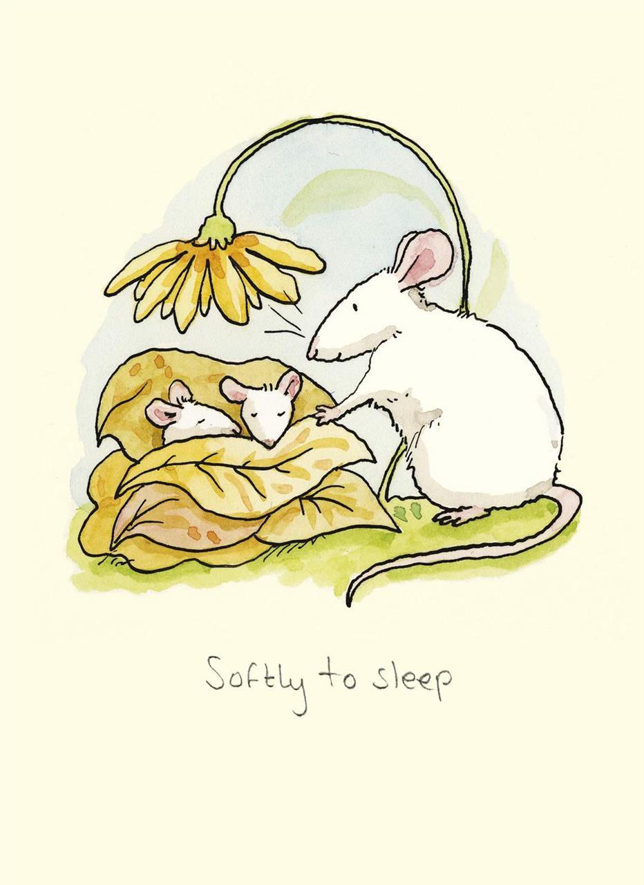 Two Bad Mice - Live Wires New Zealand Ltd - Cards, Gifts & Stationery